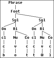 Ambisyllabicity and syllable overlap